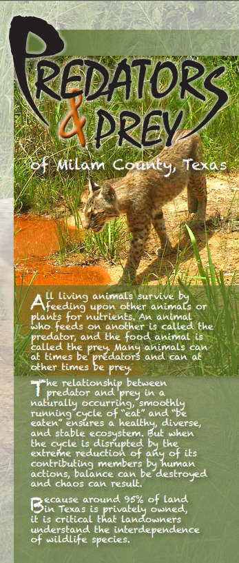Predator and Prey Brochure – Nature Along the El Camino Real