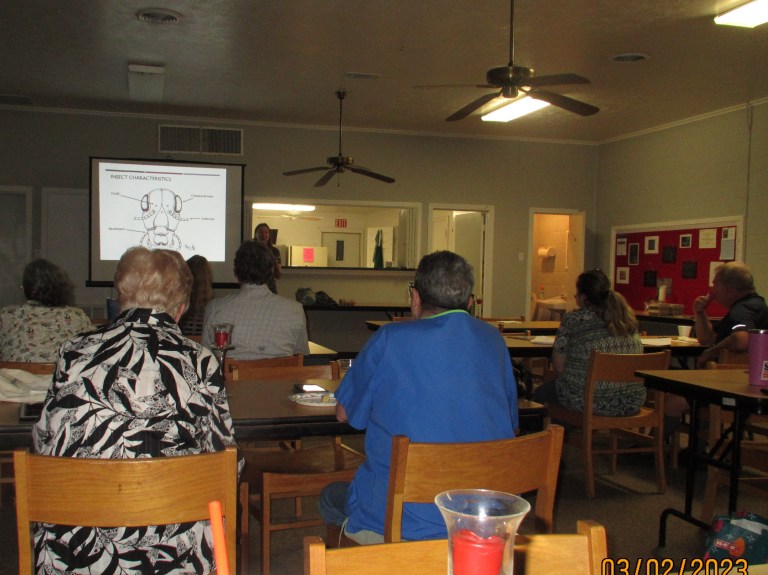 Training Class Update: Fun with Bugs – Nature Along the El Camino Real