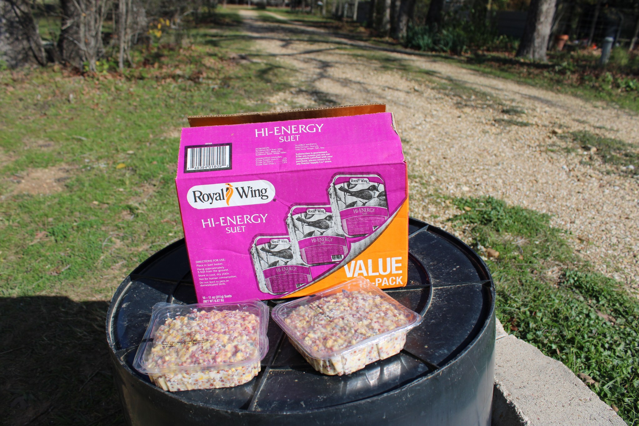 Extra Help for Birds in Winter – Nature Along the El Camino Real