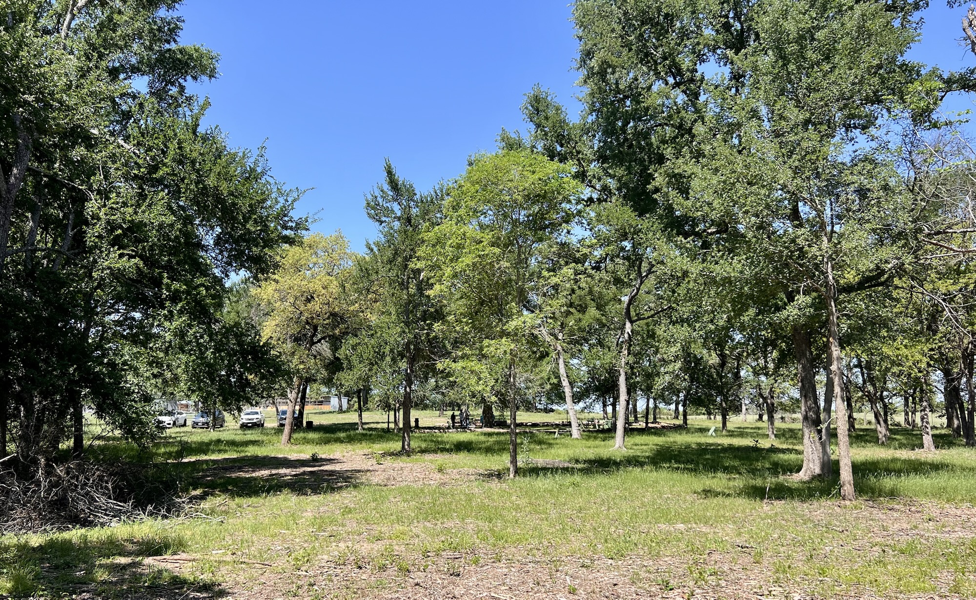 Lots Going on at Wild Wings Bird Sanctuary – Nature Along the El Camino ...